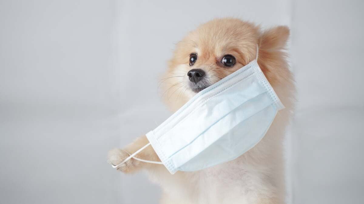 The Discomfort of Masks: Why They Feel Uncomfortable Despite Normal ...