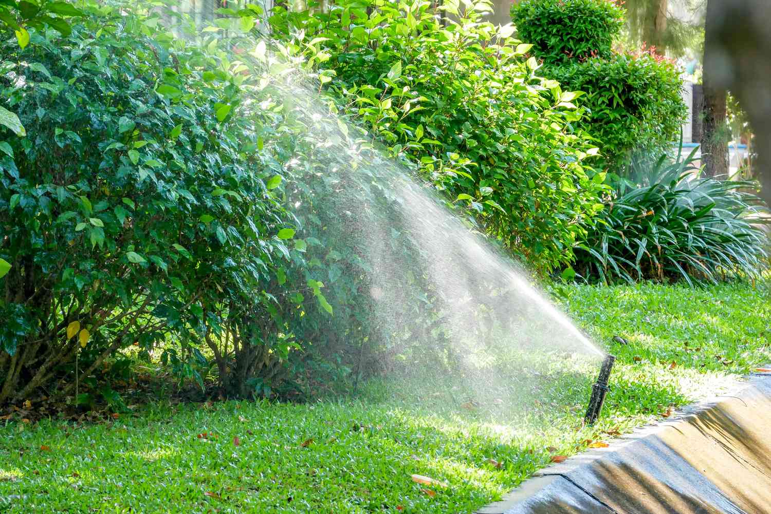 4 Essential Steps to Prepare Your Sprinkler System for Winter