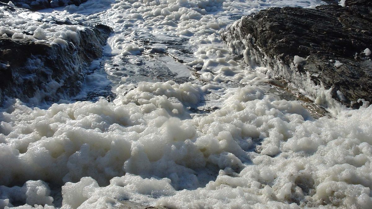 Understanding Sea Foam: A Comprehensive Guide | Mytour