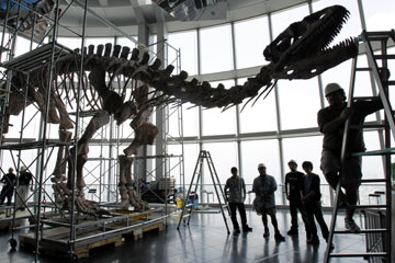 The discovery of soft tissue in dinosaur fossils is an extraordinary ...