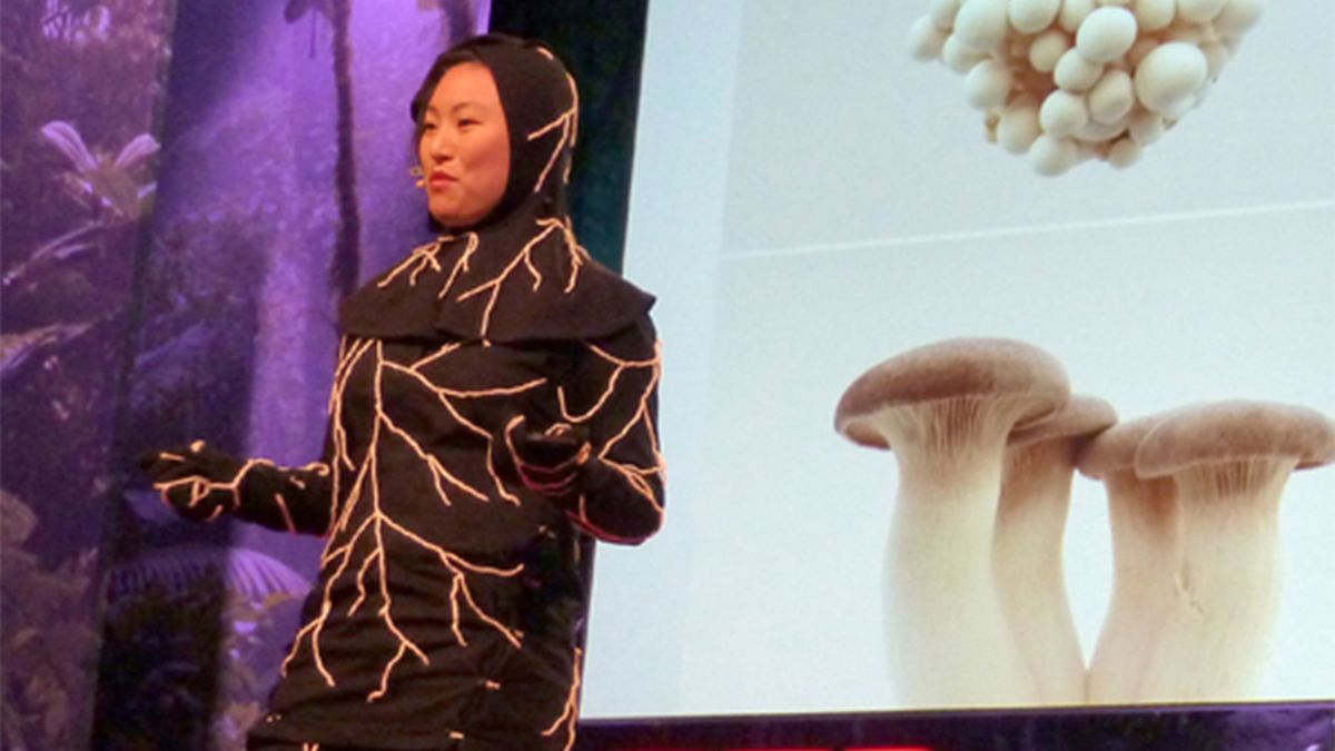 Mushroom Burial Suit Offers a Sustainable Afterlife Solution | Mytour