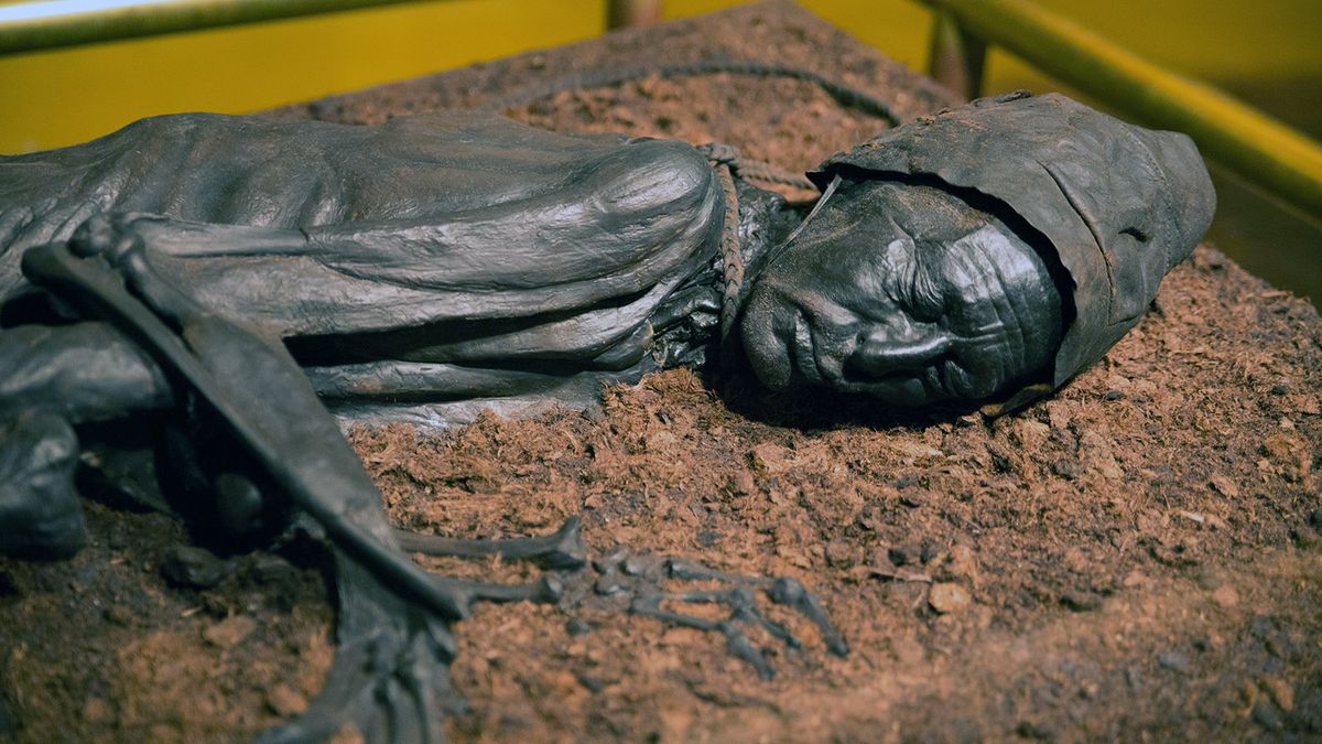 What Sets Bog Bodies Apart from Mummies Found in Deserts? | Mytour