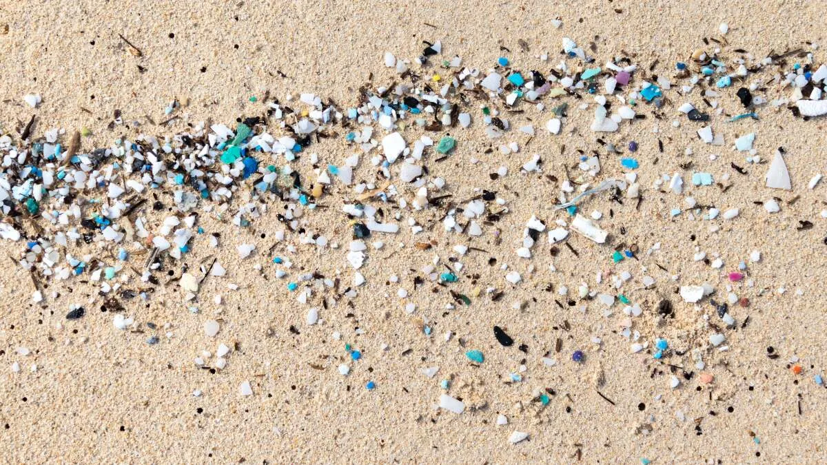Effective Strategies to Minimize Microplastic Consumption | Mytour