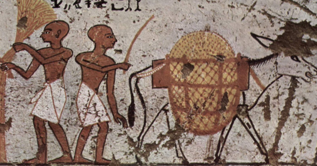 10 Astonishing Insights into Ancient Health Practices - Mytour