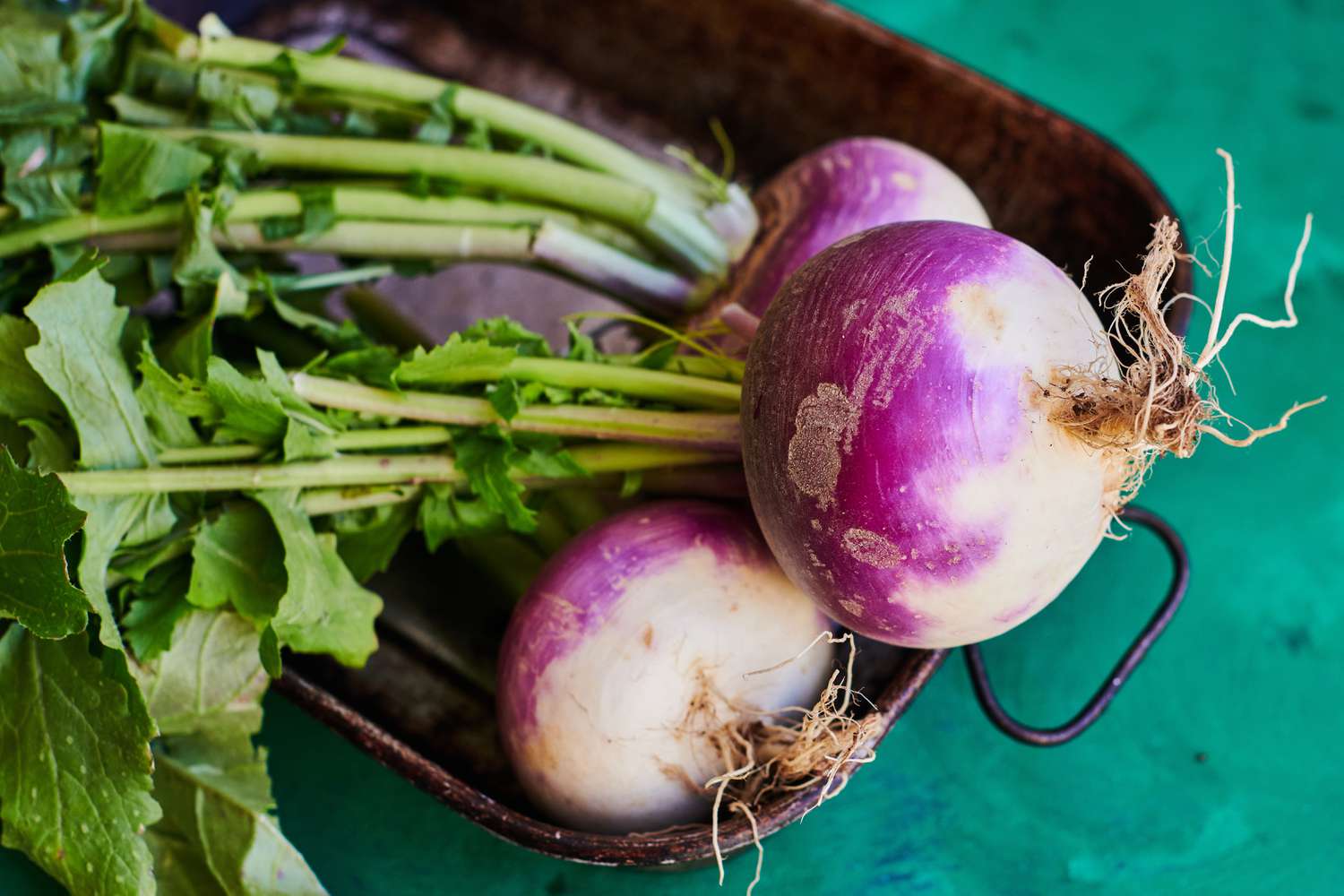 Rutabaga vs. Turnip: A Guide to Cooking These Root Vegetables
