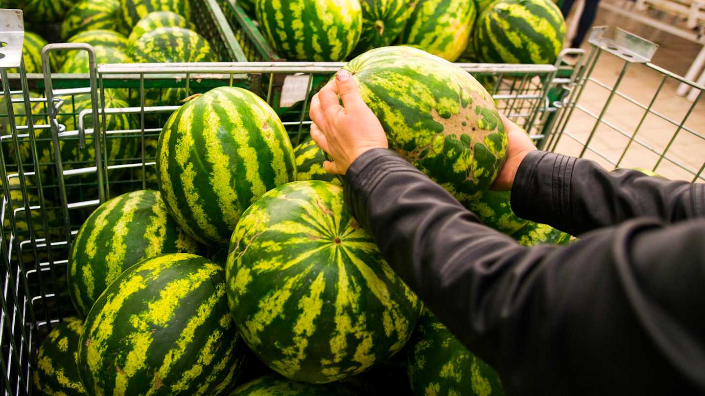 How to Pick the Perfect Watermelon