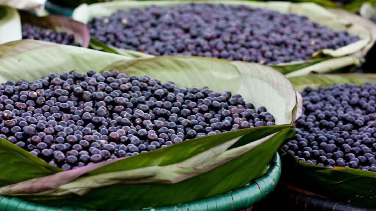Mastering the Correct Pronunciation of Açaí