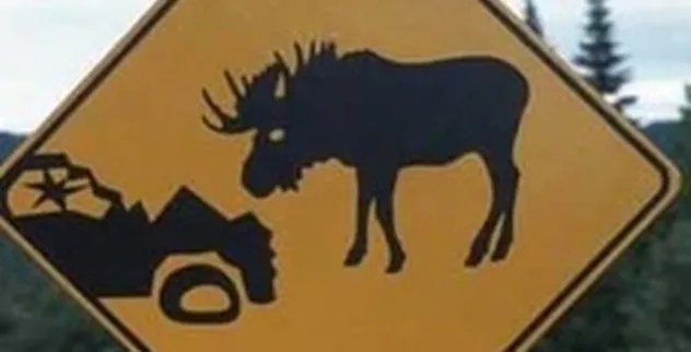 15 Hilarious Street Signs You Won't Believe Exist - Mytour