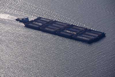 How do steel boats manage to float on water, while a solid steel bar ...