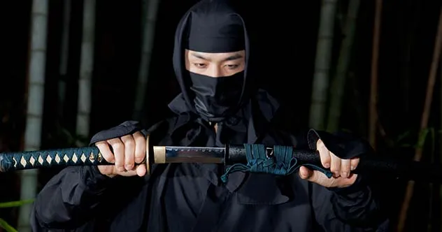 The Top 10 Misconceptions About Ninjas - Mytour