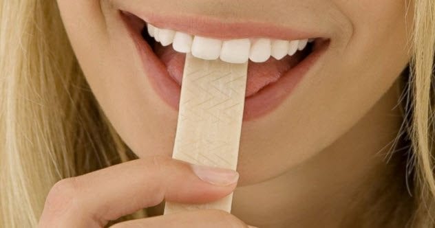 10 Intriguing Insights into the Evolution of Chewing Gum - Mytour