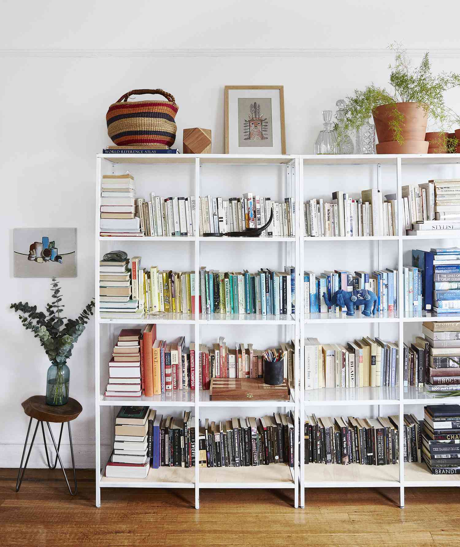 How to Organize and Keep Your Books Safe at Home