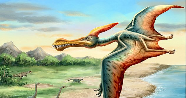 10 Strange Fossils That Revealed Surprising Secrets