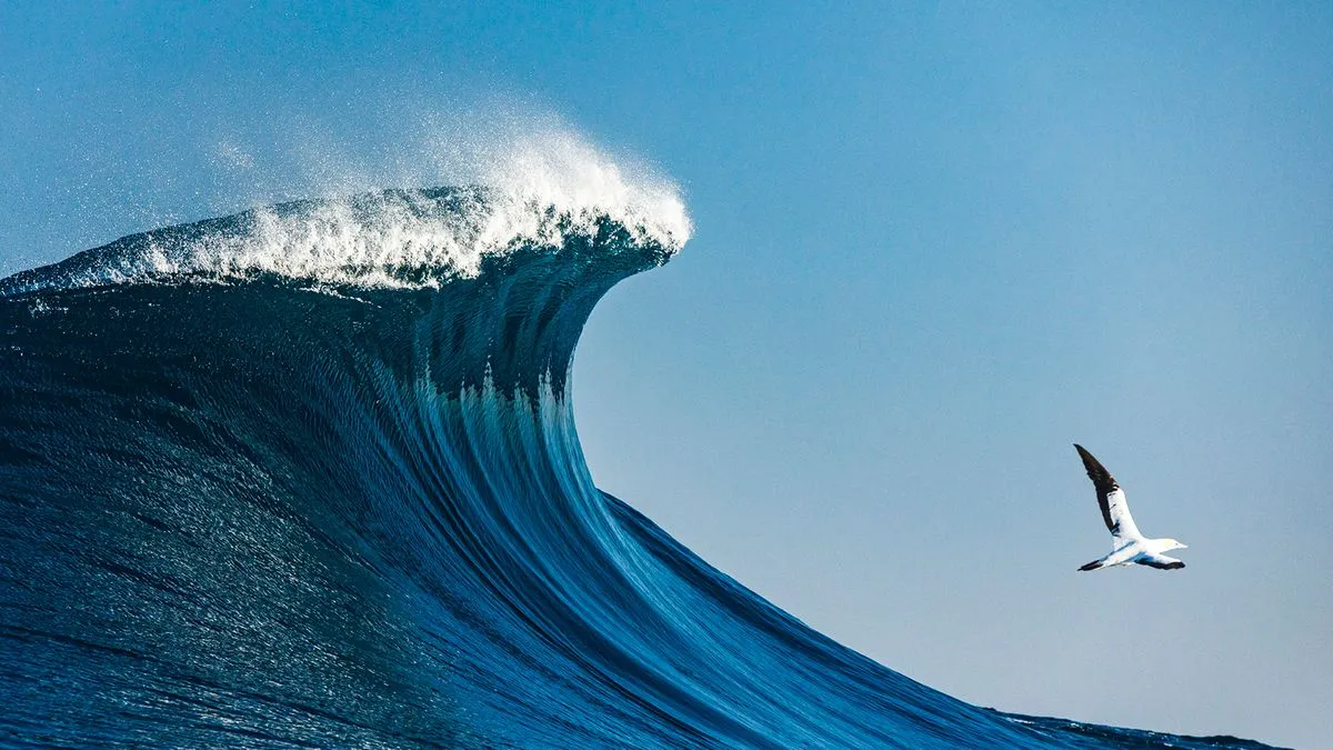 The Deadliest Tsunami Ever Recorded Resulted in Just 2 Fatalities | Mytour