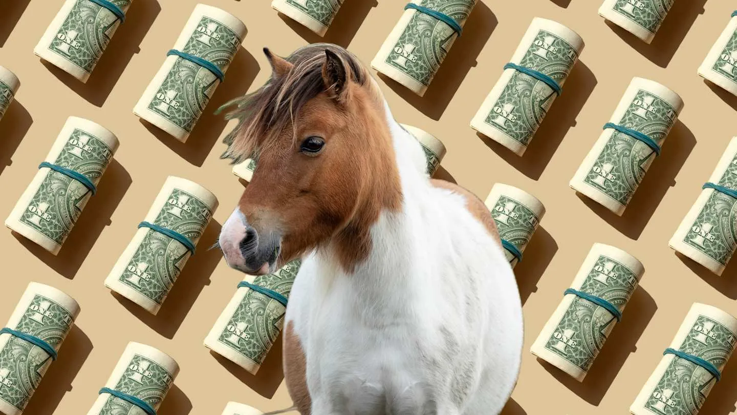 What’s the origin behind the phrase 'Pony Up' when asking for money?