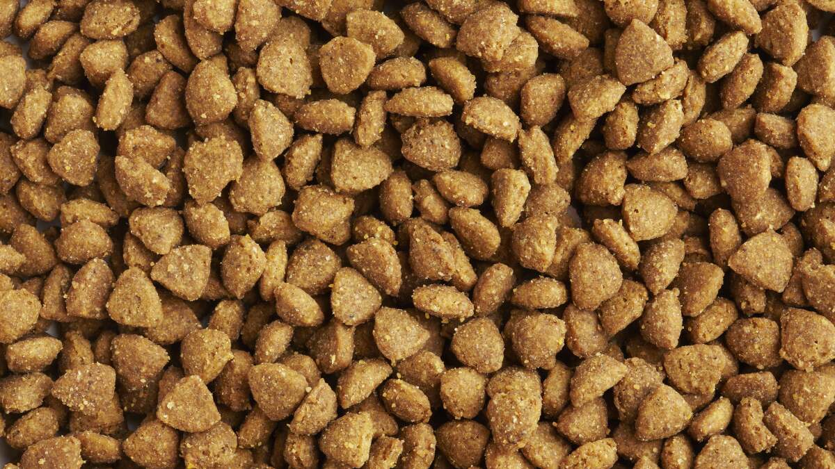 Beware: This Contaminated Dog Food Has Claimed the Lives of Over 70 ...