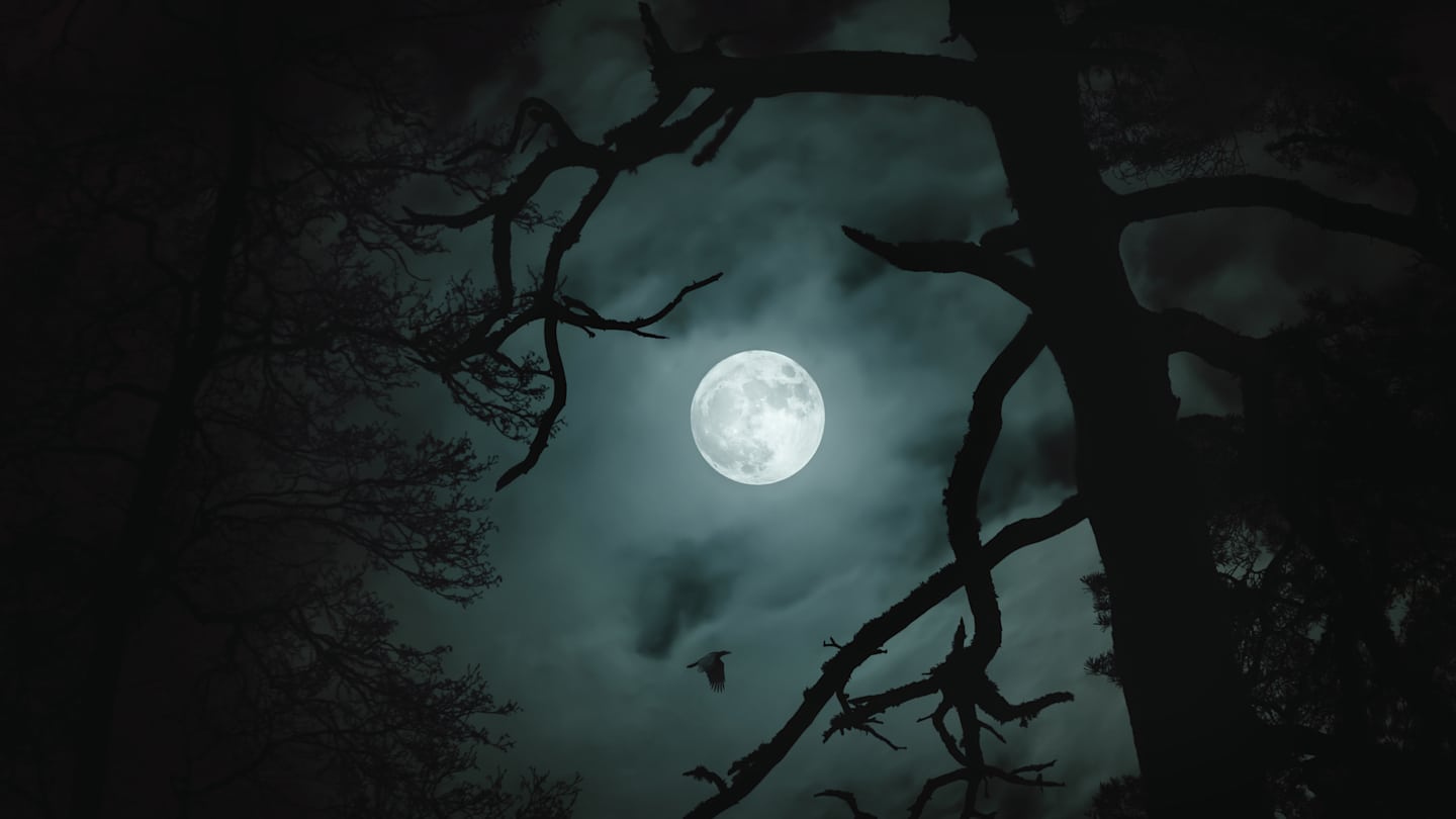 Is there any truth to the idea that the Full Moon causes strange behavior?