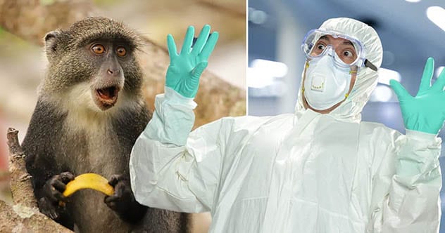 The 10 Most Outrageous Events of This Week (06/5/20) - Mytour