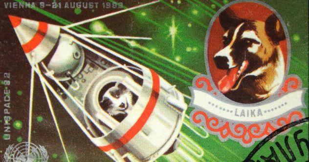 The Untold Stories of the Soviet Space Dogs: 10 Incredible (and ...