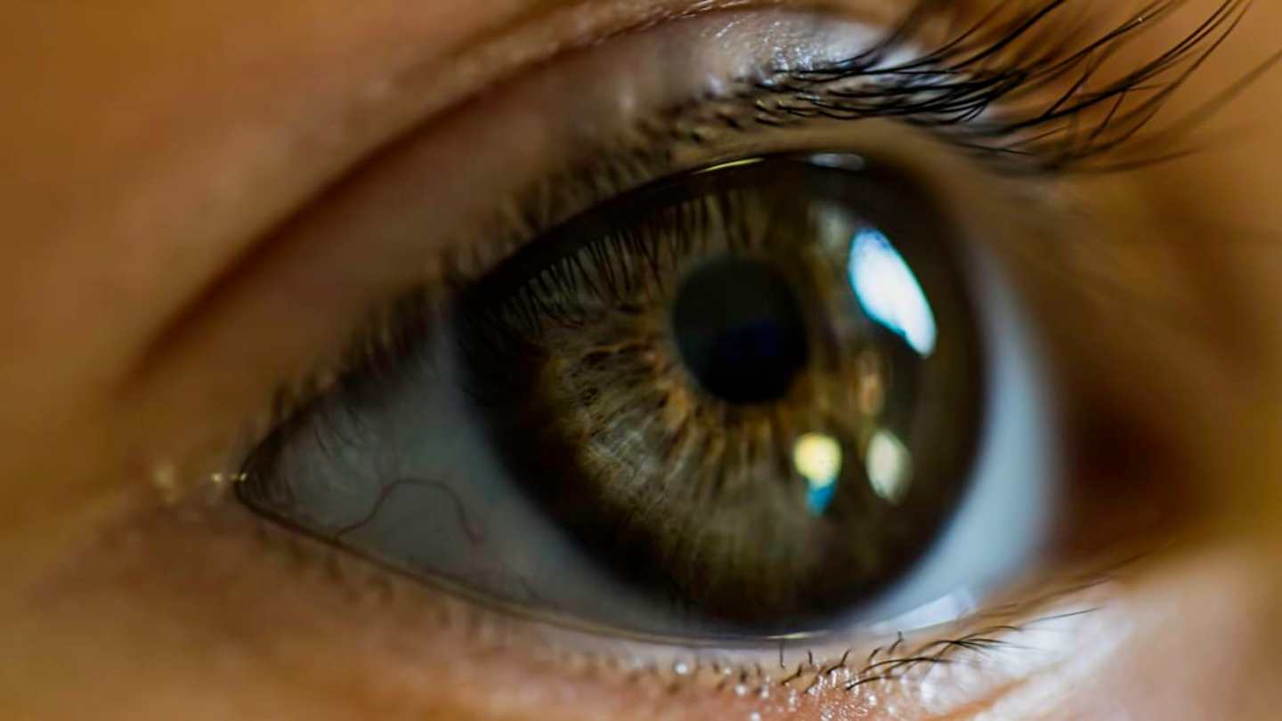How Long Can Donated Eyes Be Preserved?