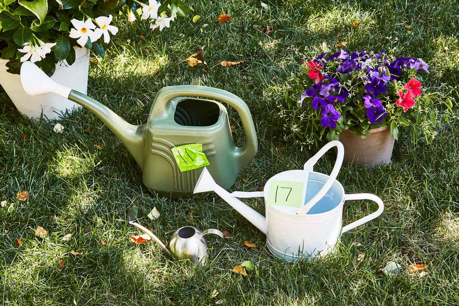 The 7 Top Watering Cans, Tested and Reviewed