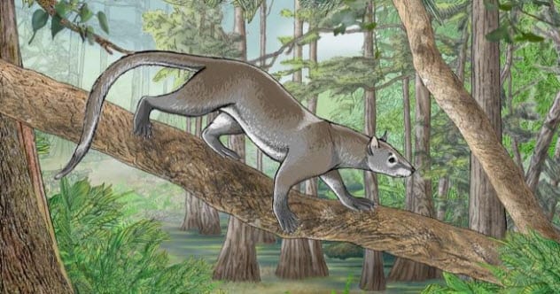 10 Fascinating Yet Uncommon Ancient Creatures - Mytour