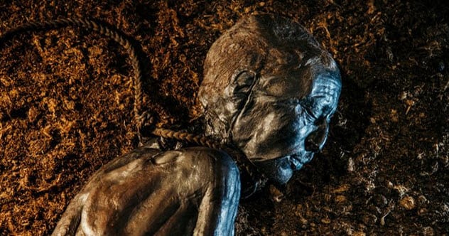 The Fascinating Insights Bog Mummies Offer into Iron Age Society - Mytour