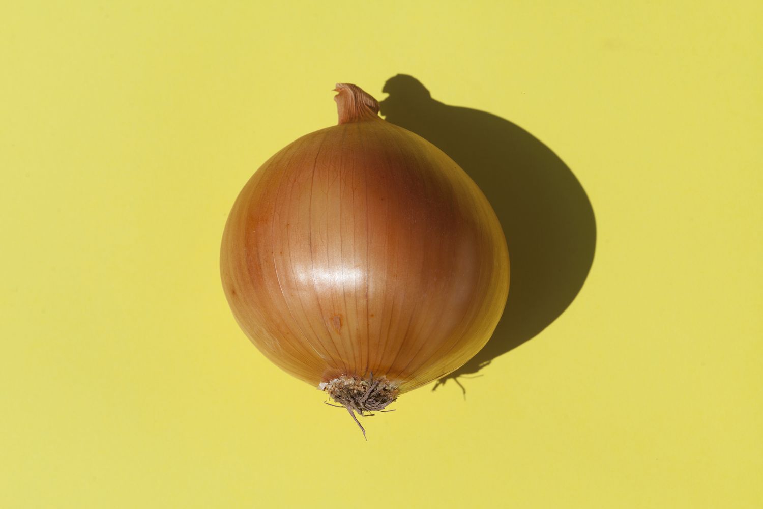 How do Yellow Onions Compare to Red Onions?
