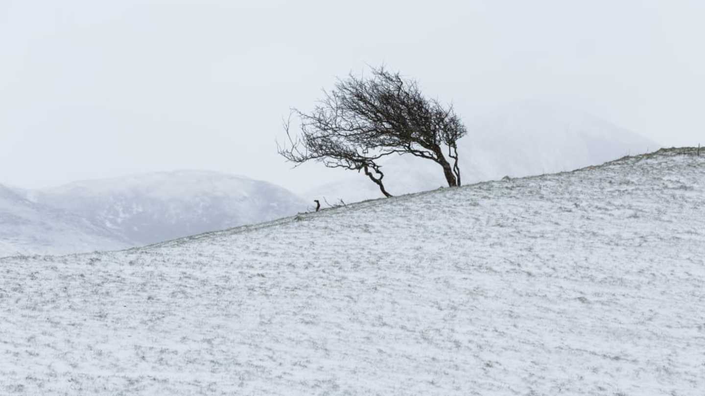 How is Wind Chill Calculated?
