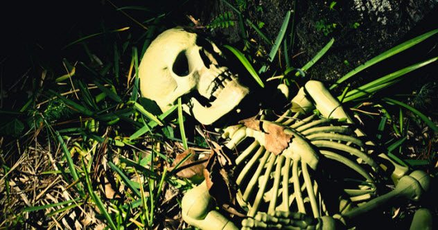 Top 10 Treasure Seekers Whose Lives Ended Tragically - Mytour