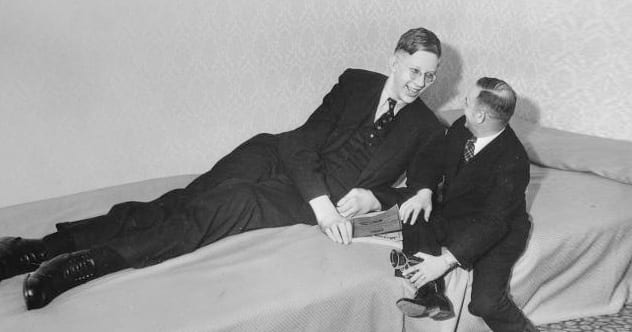 Discover the Top 10 Mind-Blowing Facts About the World's Tallest Man ...