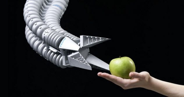 10 Remarkable Inventions Inspired by the Wonders of Plants and Animals