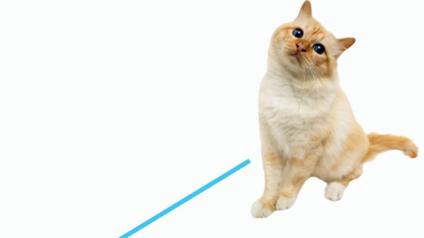 Is it Kitty Corner, Katty Corner, or Kattywumpus?