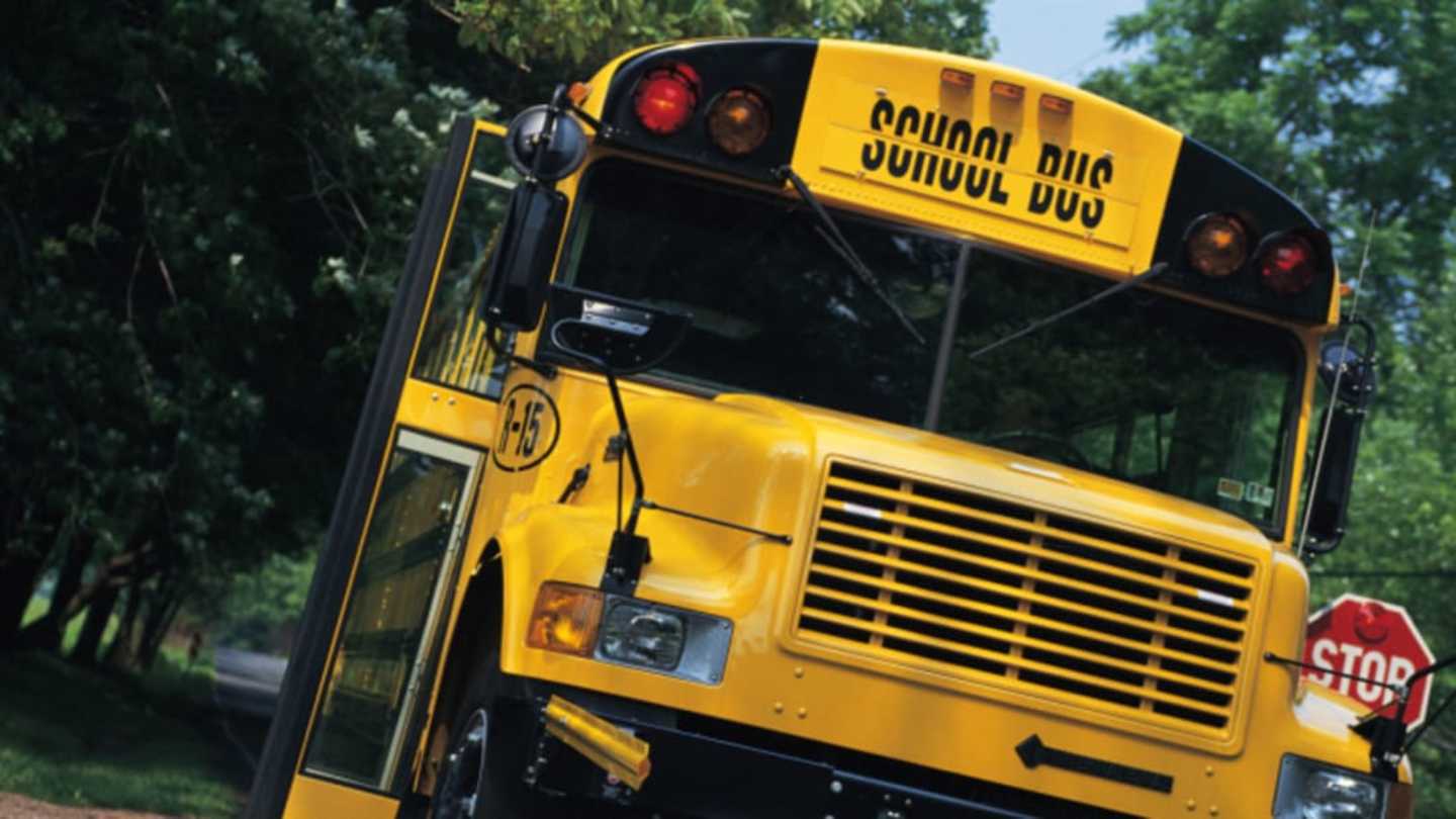 What Makes School Buses Stand Out with Their Yellow Color?