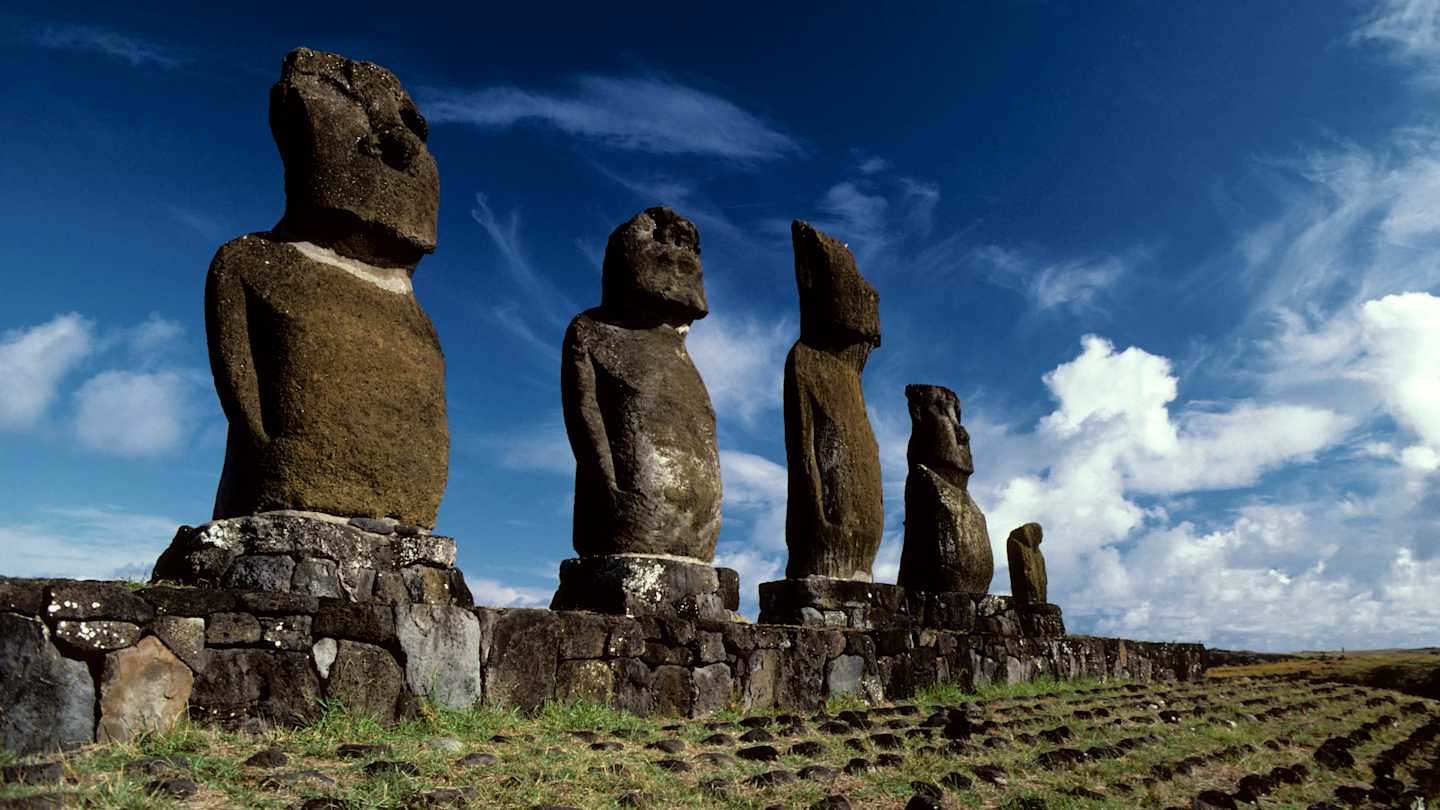 A study reveals that the rock gardens of Rapa Nui (Easter Island ...