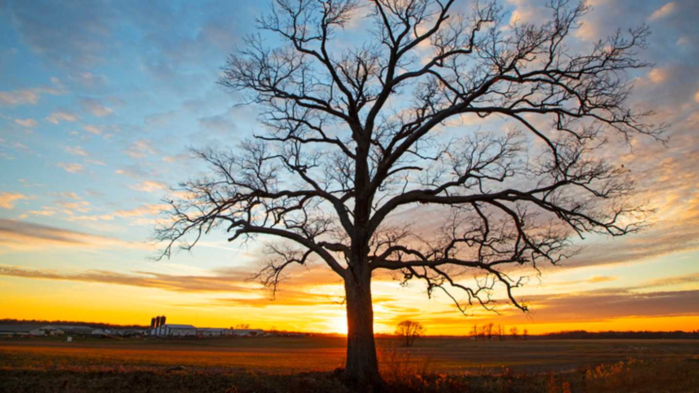 25 Intriguing Facts About the Winter Solstice, the Year's Shortest Day