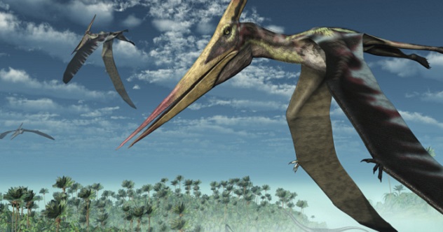 10 Fearsome Pterosaurs That Disappeared Ages Ago - Mytour