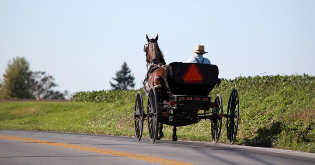 10 Fascinating Facts About The Amish - Mytour