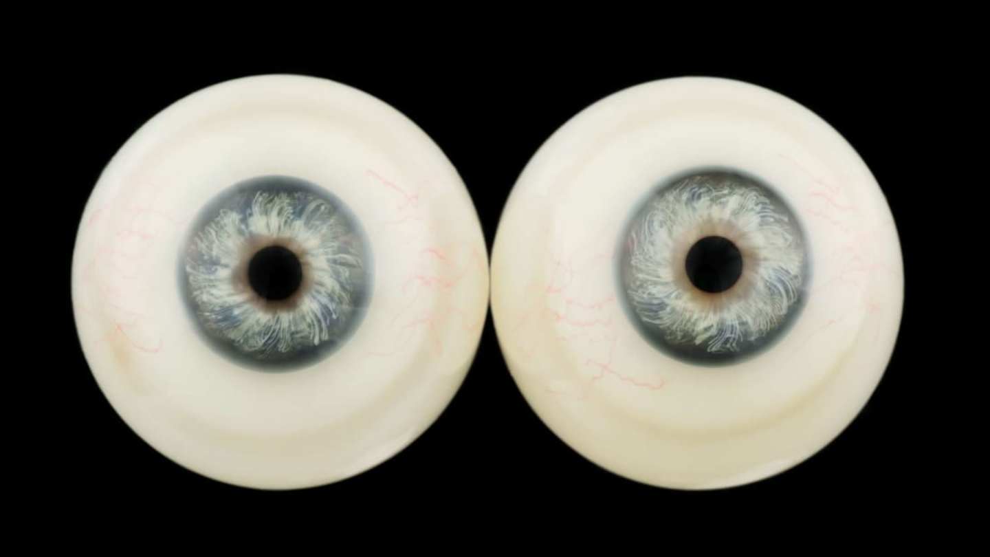 Watch: Scientists Reveal the Outcome of Dropping an Eyeball From a Five ...