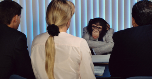 Discover 10 Fascinating Insights into the Oddities of Humanity's ...