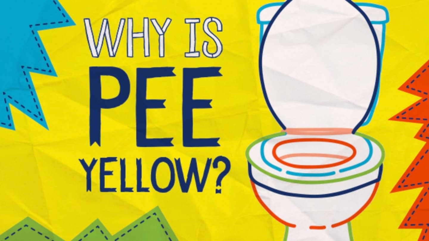 What Makes Urine Appear Yellow?