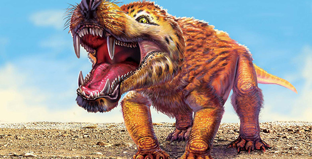 10 Remote Human Ancestors and Kin - Mytour