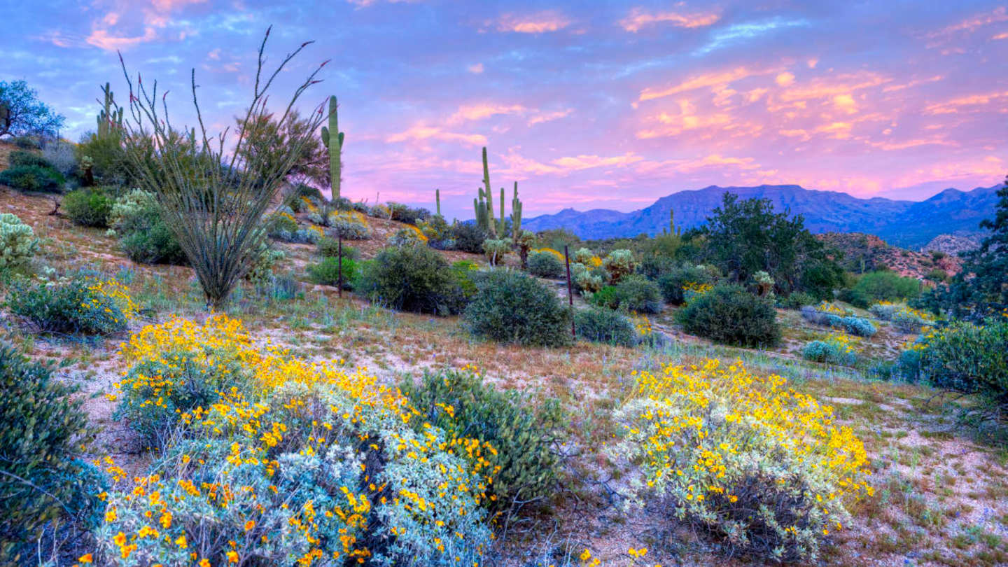 NASA's new map reveals that spring is arriving earlier each year.