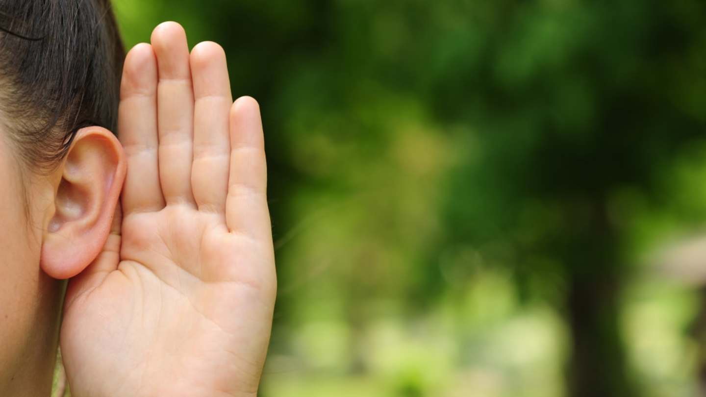 Can You 'Sense' the Silence in These Animated Images?