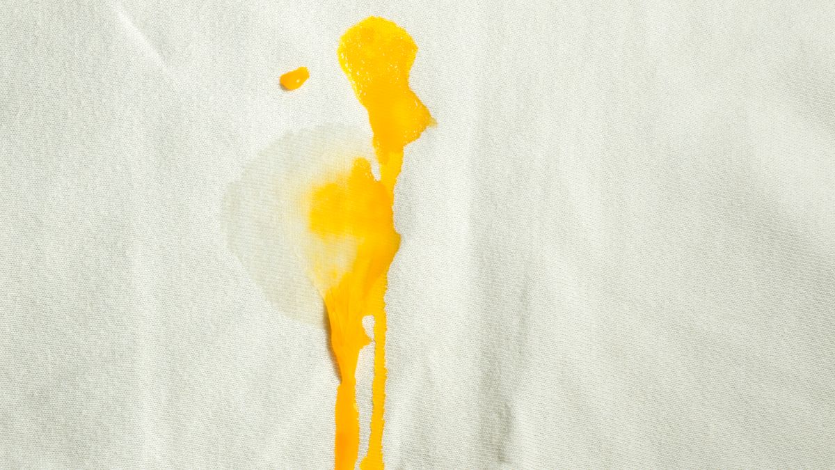 Egg Stain Removal: Quick Tips and Tricks | Mytour