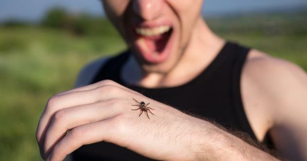 10 Unusual Fears and Phobias Found in Specific Cultures - Mytour