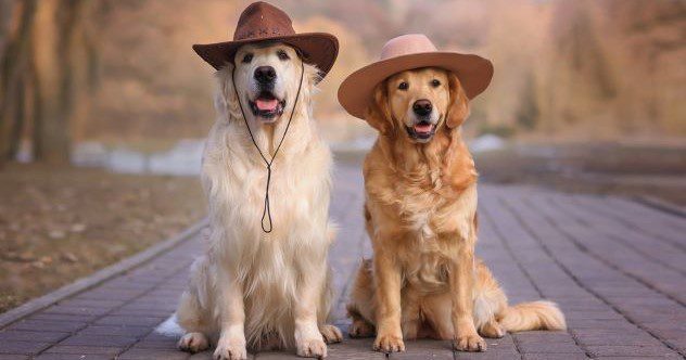 10 Strange Farms You Won't Believe Exist - Mytour