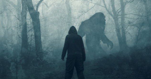 10 Lesser-Known Cryptids and the Mystery Behind Their Secrecy - Mytour