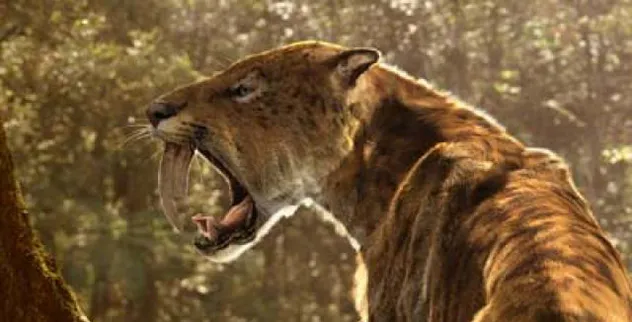 10 Predators With Saberteeth - Mytour