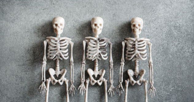 Ten Incredible Skeleton Discoveries That Will Leave You Amazed - Mytour